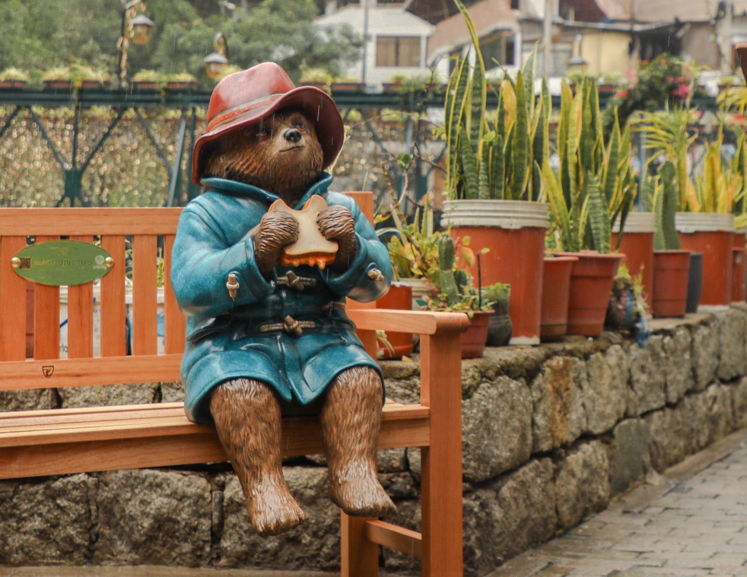Paddington Experience on Trains to Machu Picchu